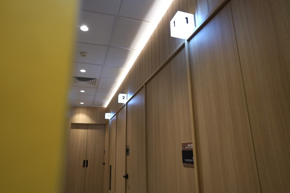 The Pique Lab Launches Visionary Rebrand For A New Decade | The Pique ...